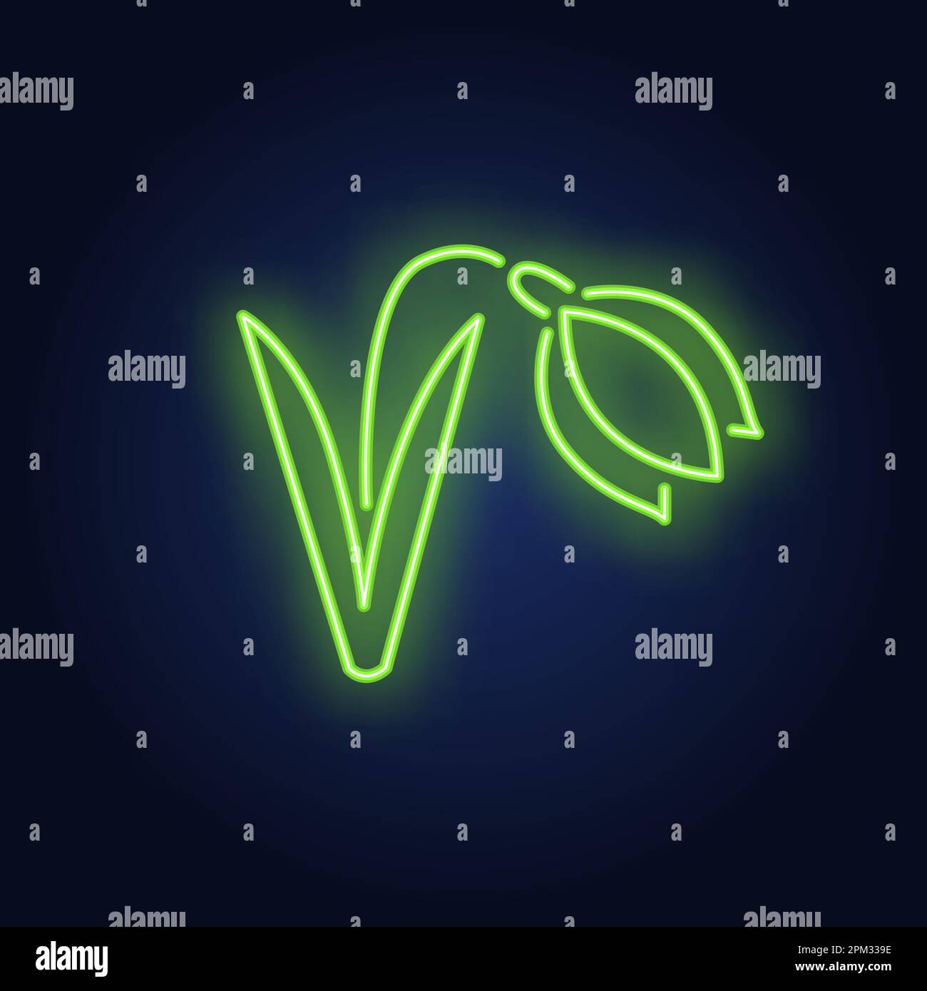 White snowdrop flower sign Stock Vector Images - Alamy