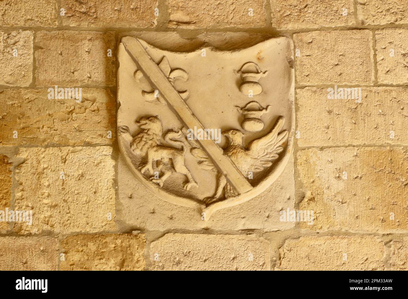 Slayer Carved In Arm