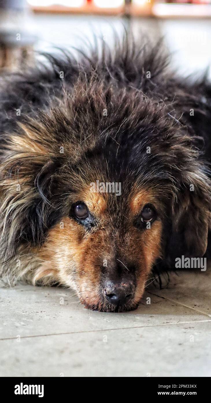 Pictured lying down hi-res stock photography and images - Alamy