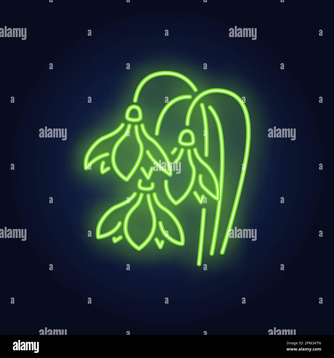 Snowdrops neon sign. Flowers with green stems Stock Vector Image & Art ...