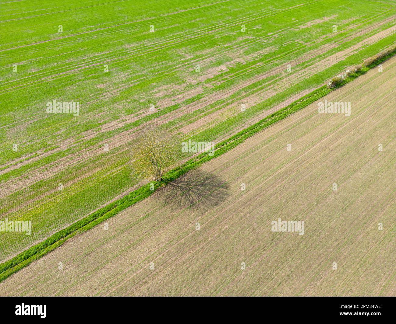 Fens in cambridgeshire aerial view hi-res stock photography and images ...