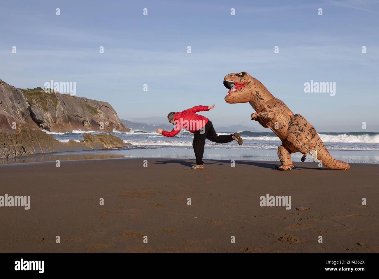 T-rex runs after a man on the ocean beach in Zumaia, Spain. Dinosaur ...