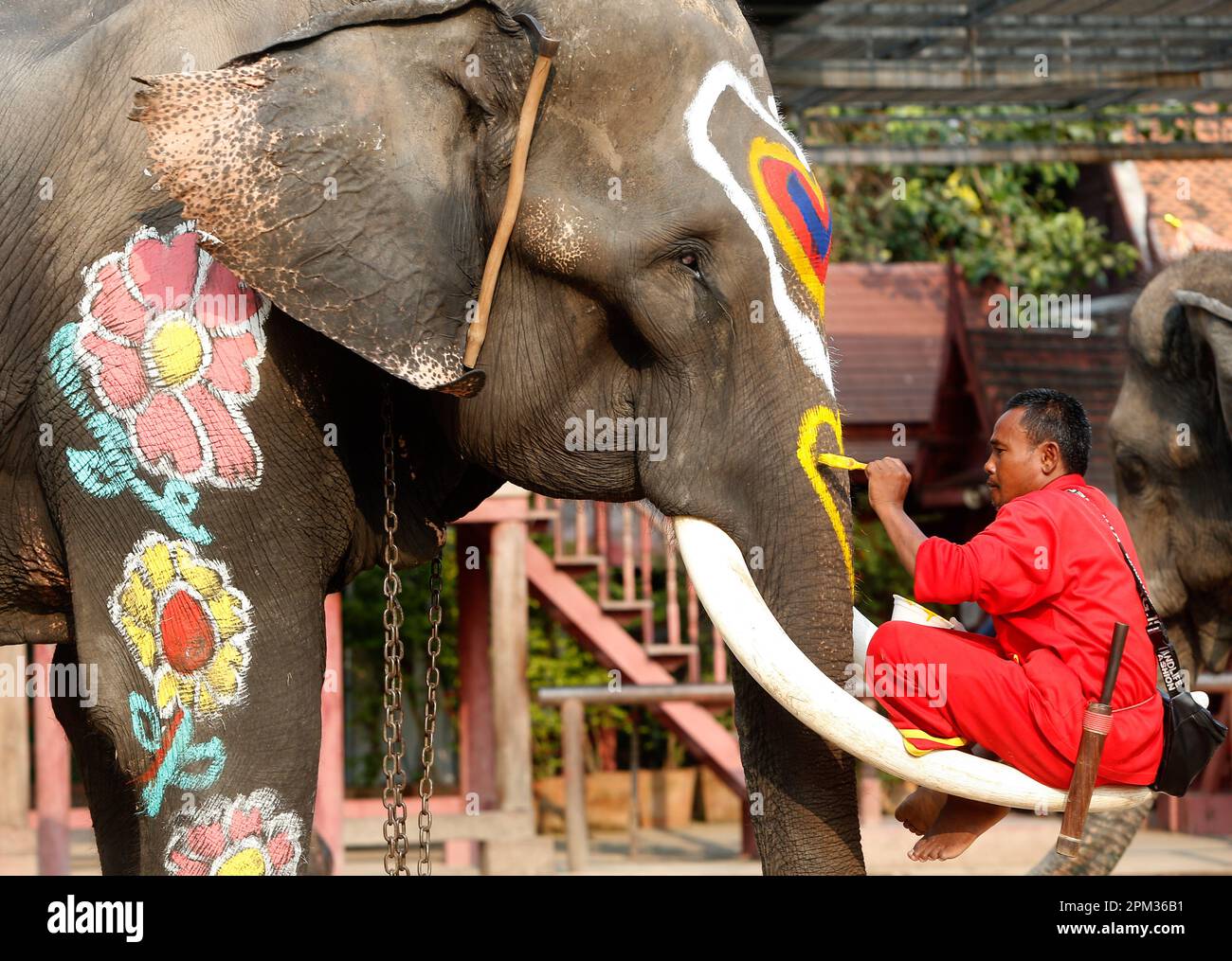 Ayutthaya, Thailand. 11th Apr, 2023. A Thai mahout paints an elephant in celebration of the ...