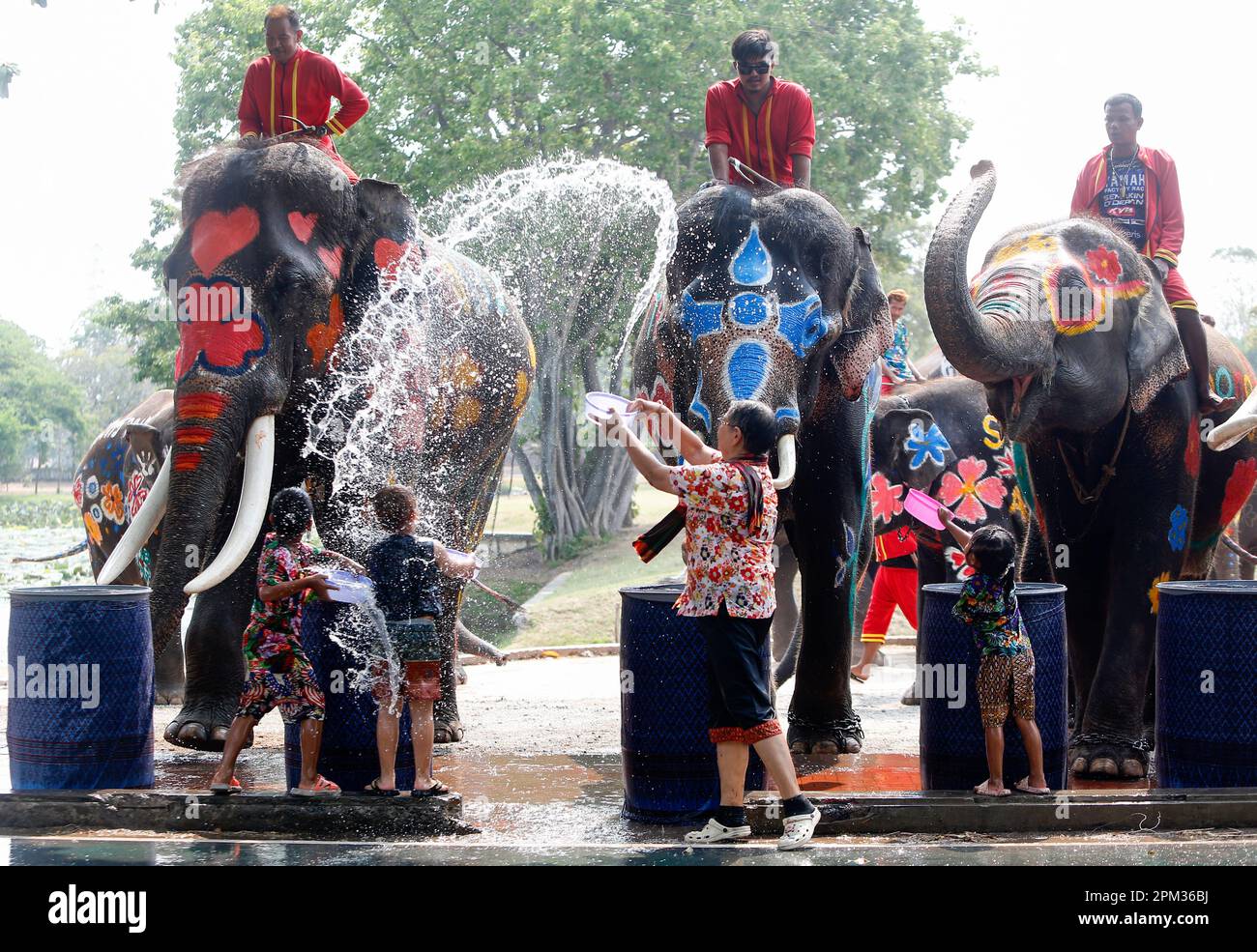Elephants with children hi-res stock photography and images - Alamy