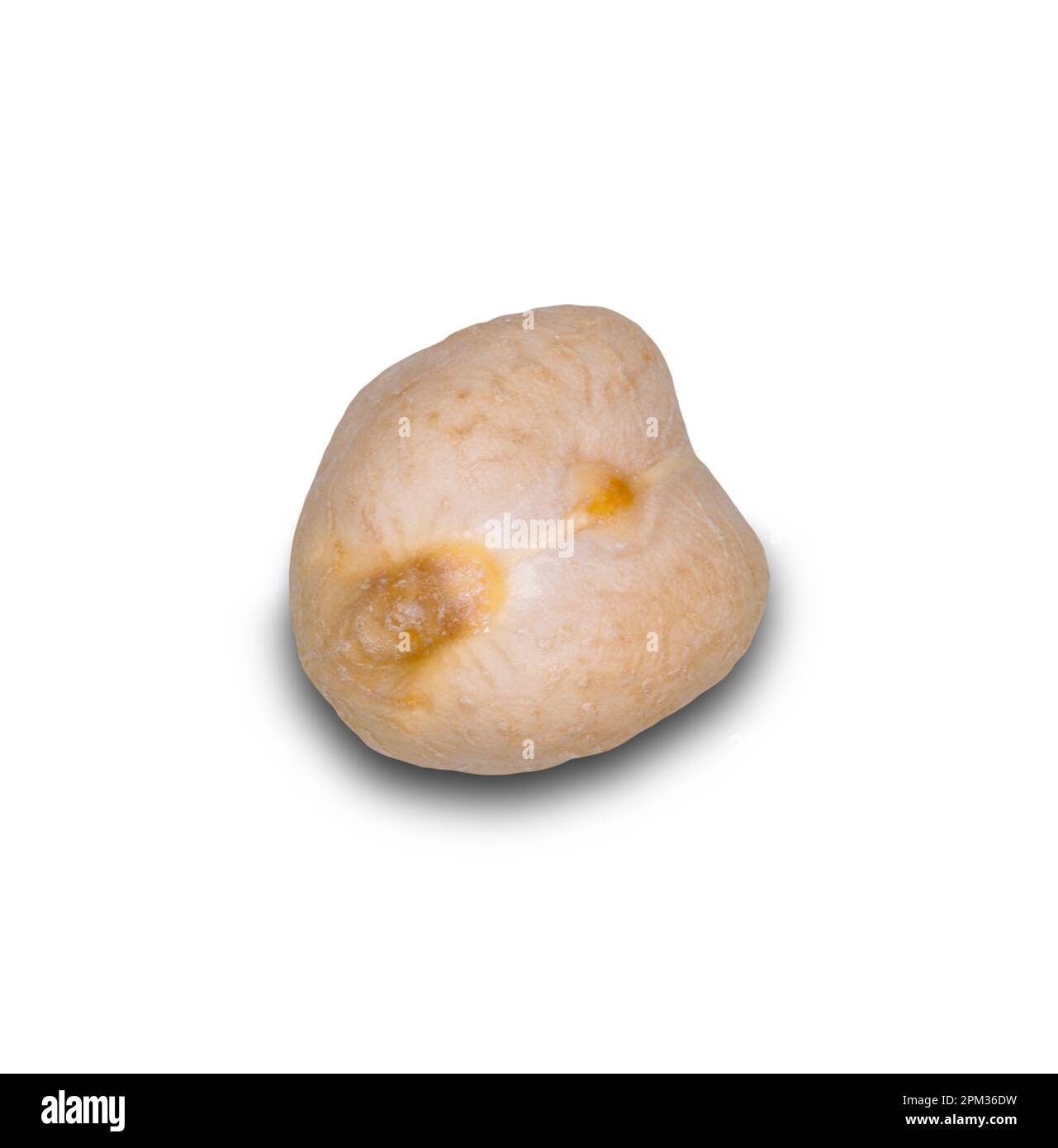 Chickpea hi-res stock photography and images - Alamy