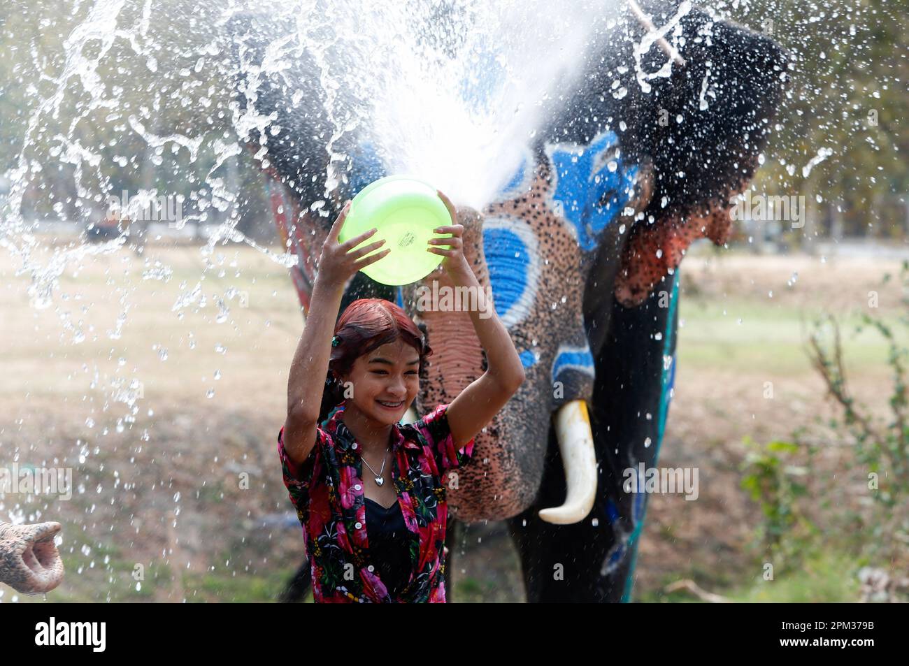 Ayutthaya, Thailand. 11th Apr, 2023. An elephant splashs a woman with water in celebration of ...