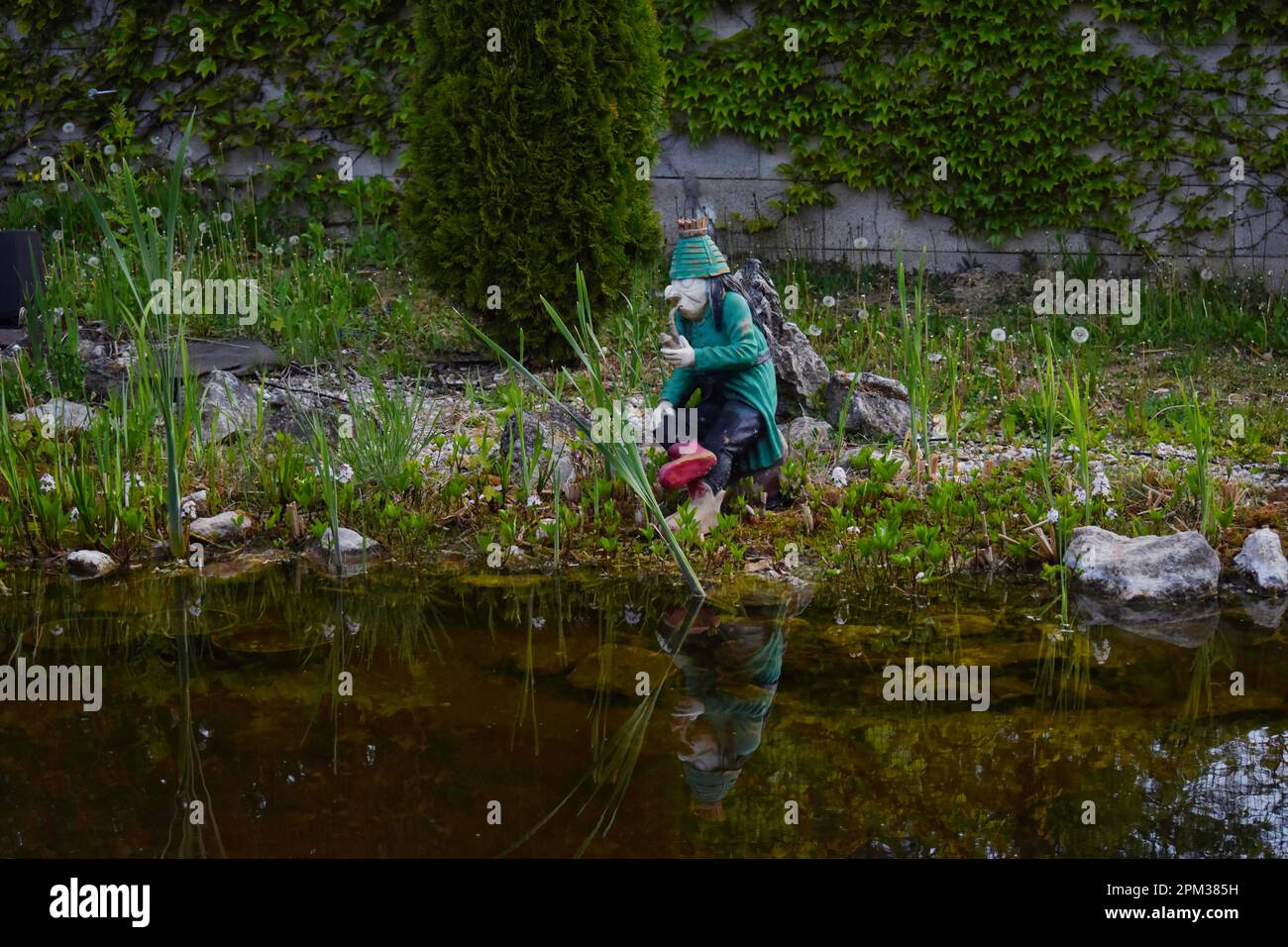 A garden gnome near a pond reflecting on the water surface Stock Photo ...