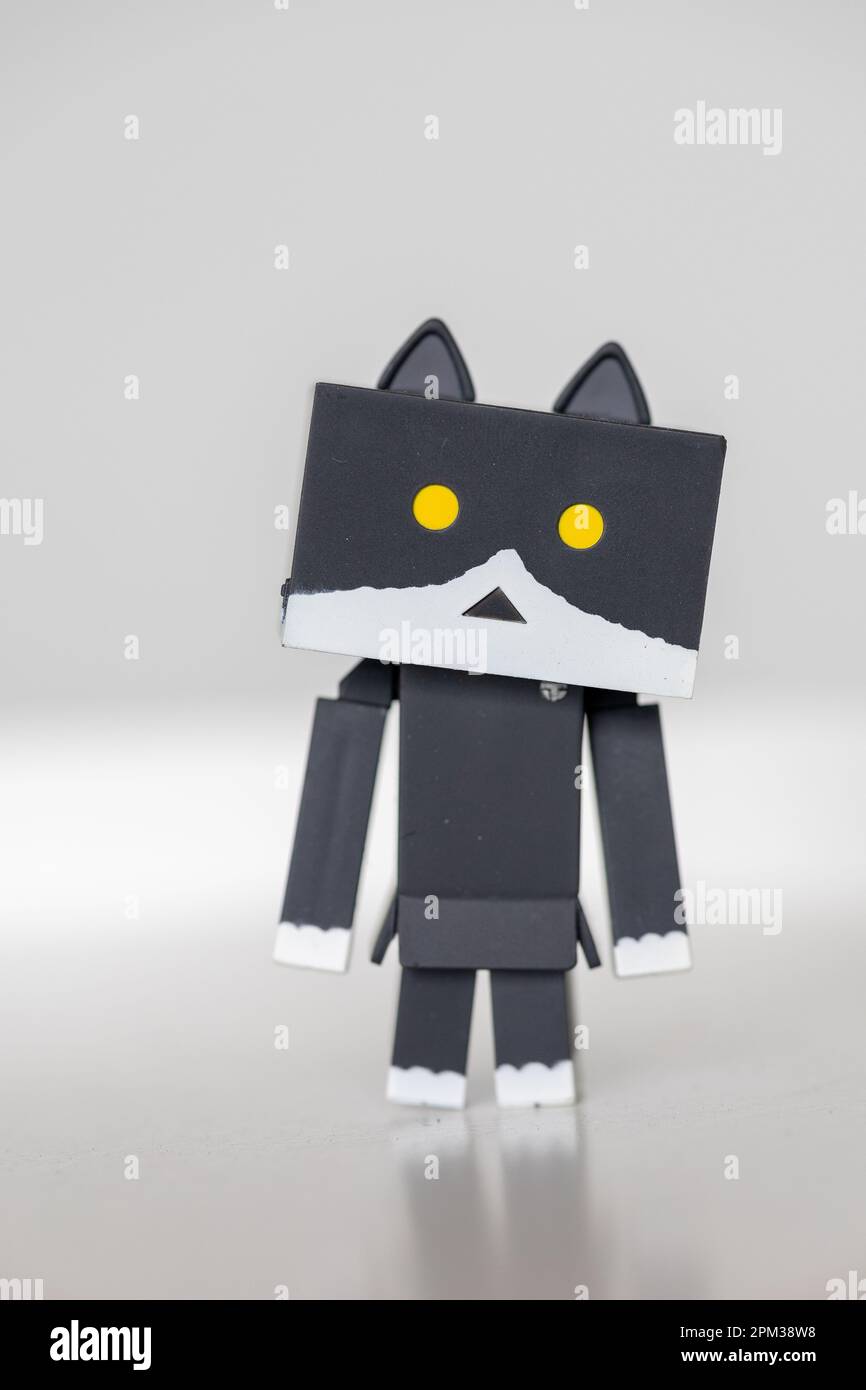 A front view of a cat - black and white Danbo Toy on white background ...