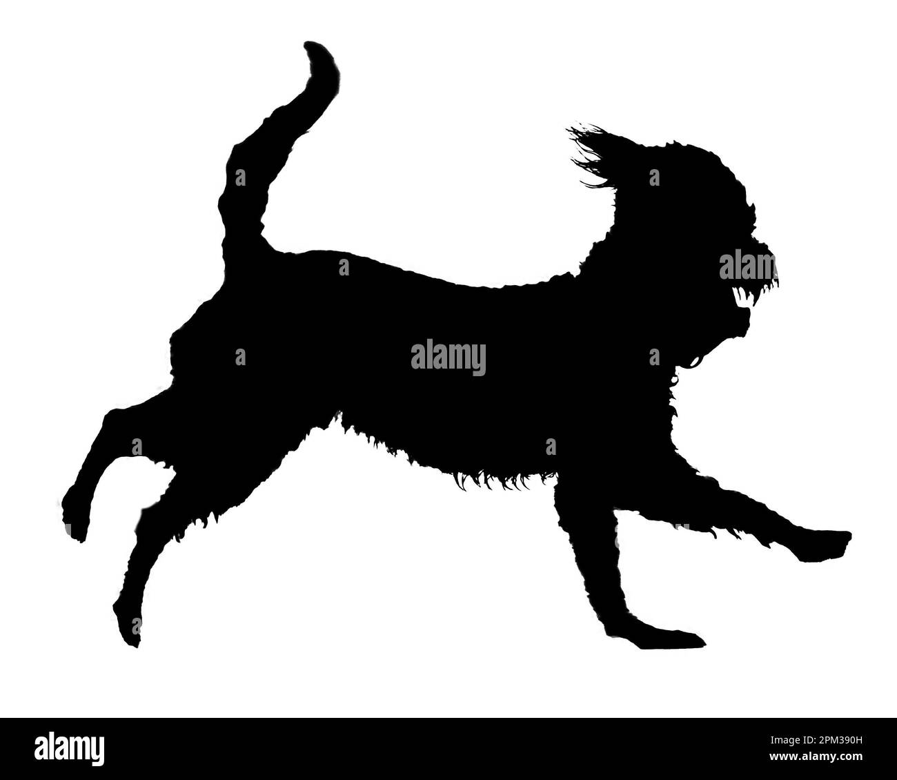 Side view furry dog running isolated graphic Stock Photo - Alamy