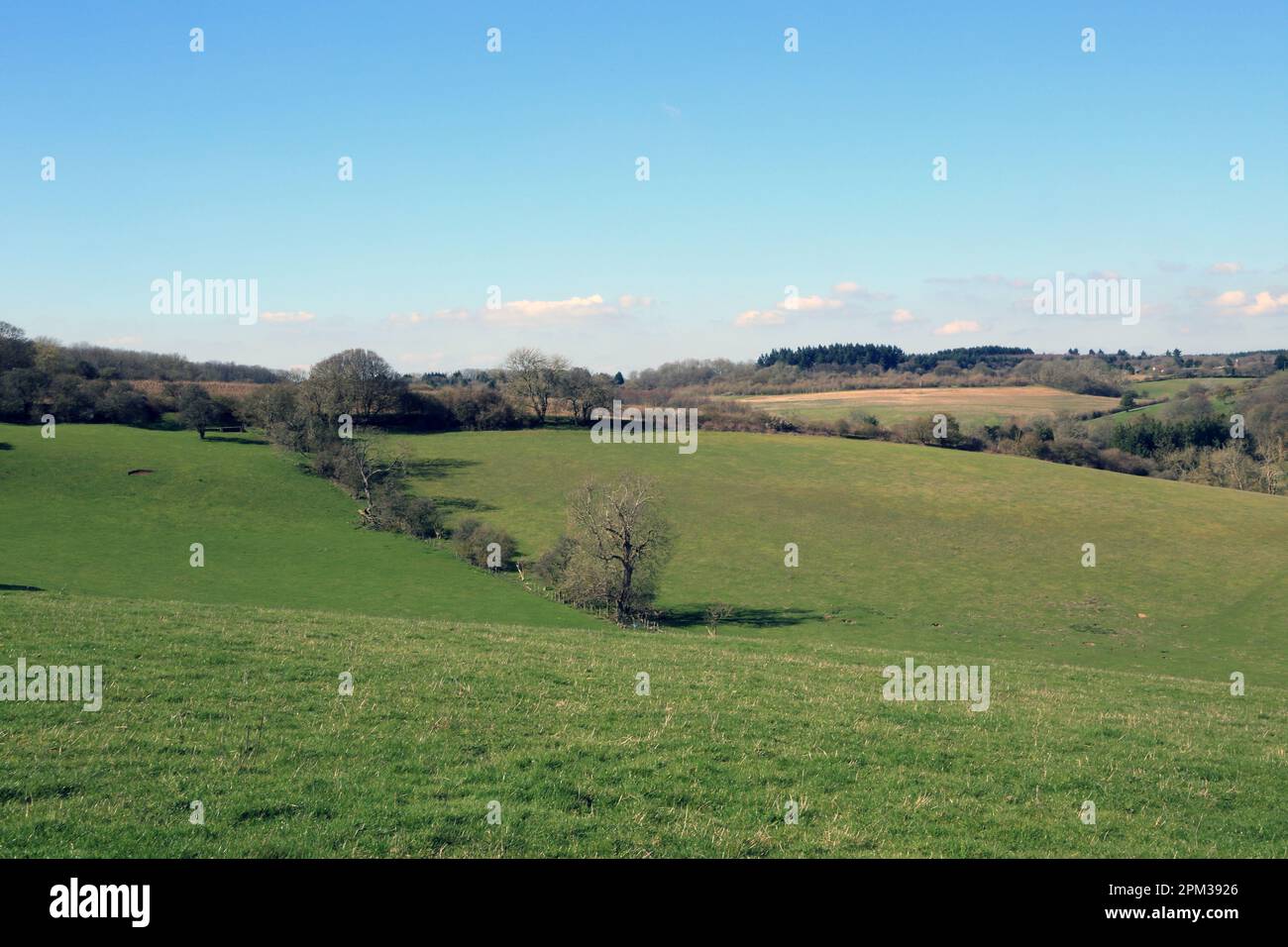 Farmland at Farthing Common on the Kent North Downs above Folkestone in ...