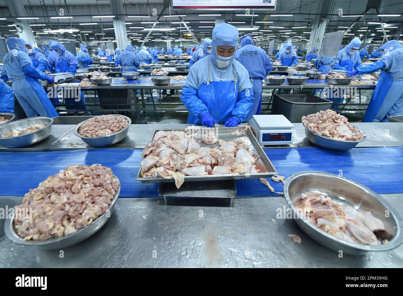 Workers handle chicken at a food processor in Suqian in east China's ...