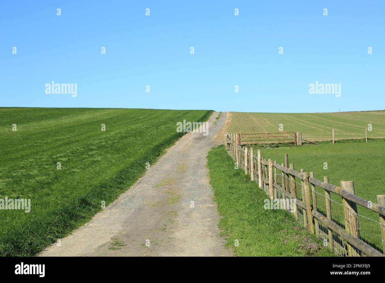 Farm track and fields on the Kent North Downs above New Barn, Lyminge ...
