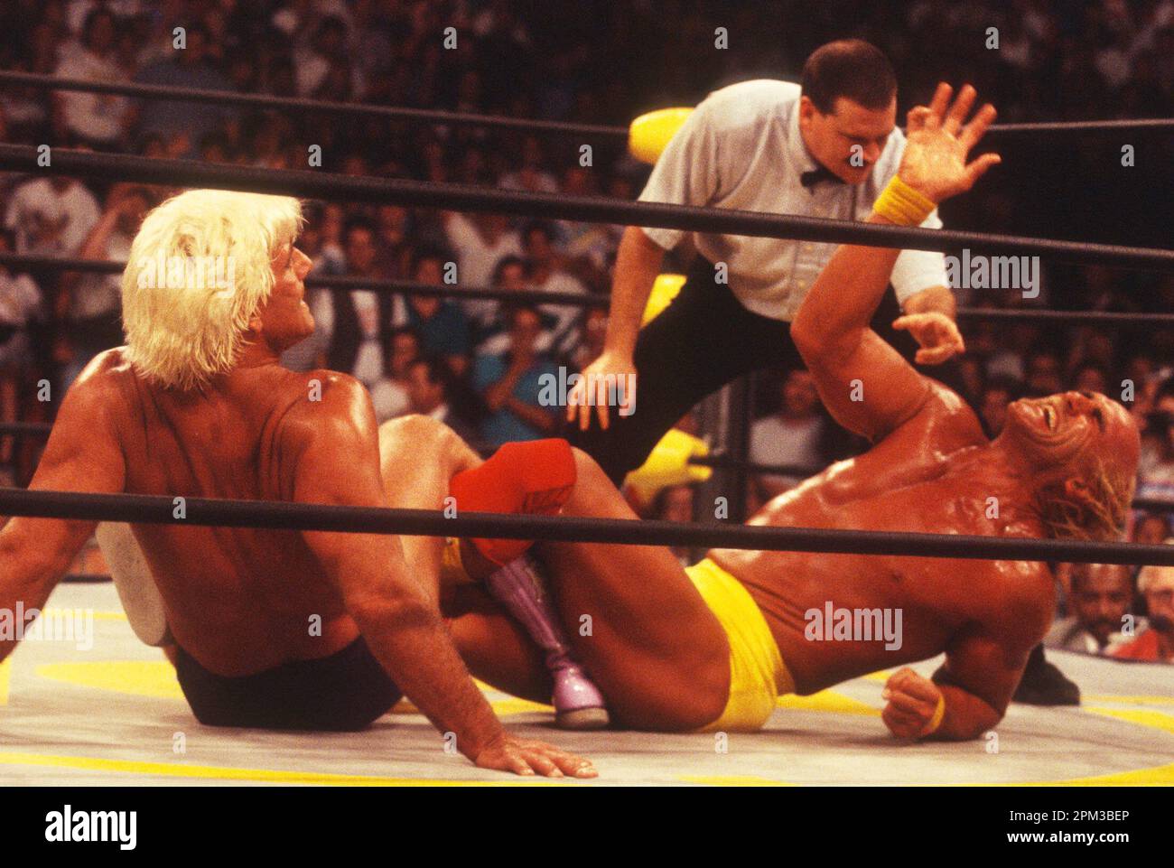 1994 Hulk Hogan Ric Flair Photo by John Barrett/PHOTOlink Stock Photo - Alamy