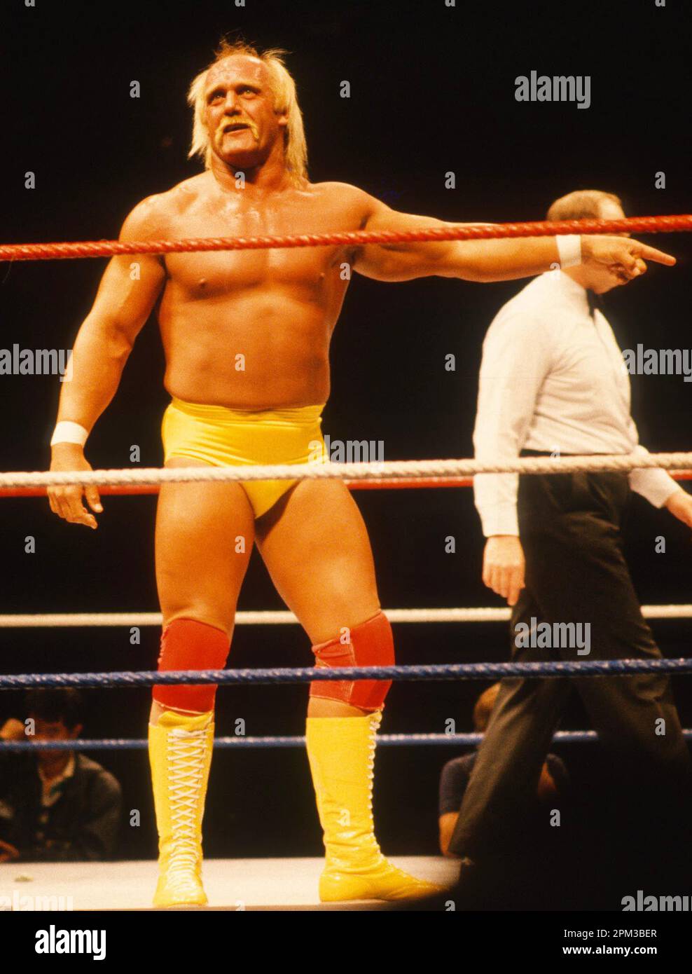 1987 Hulk Hogan Photo by John Barrett/PHOTOlink Stock Photo - Alamy
