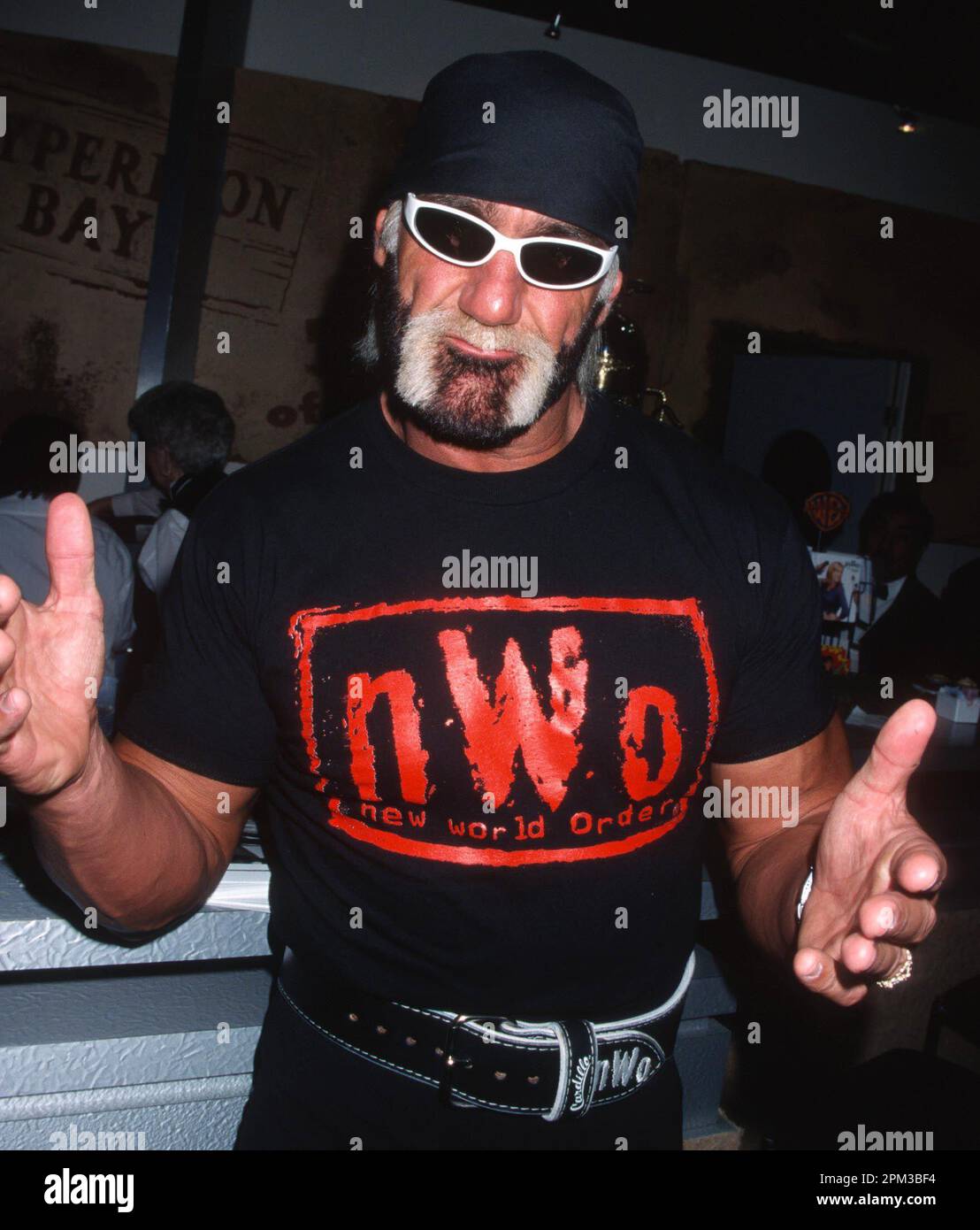 1999 Hulk Hogan Photo by John Barrett/PHOTOlink Stock Photo - Alamy
