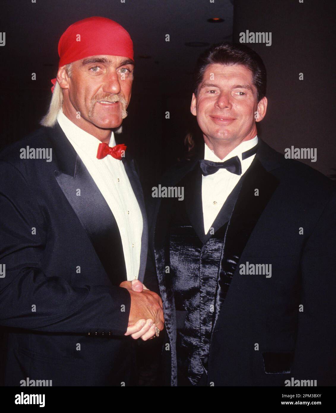1993 Hulk Hogan Vince McMahon Photo by John Barrett/PHOTOlink Photo via Newscom Stock Photo - Alamy