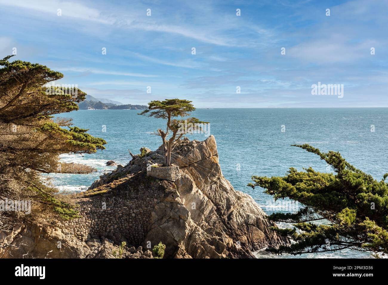 Lone Cypress Tree on 7 Mile Drive. 17 Mile Drive is a scenic road ...