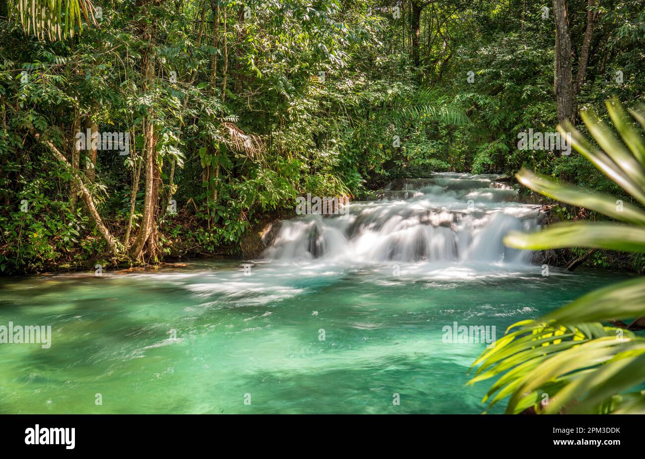 Crystal clear waterfall surrounded by emerald green jungle in Jalapao ...