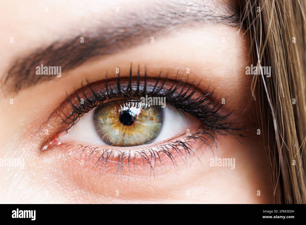 Close-up image of a female eye. A woman with beautifully drawn eyes ...