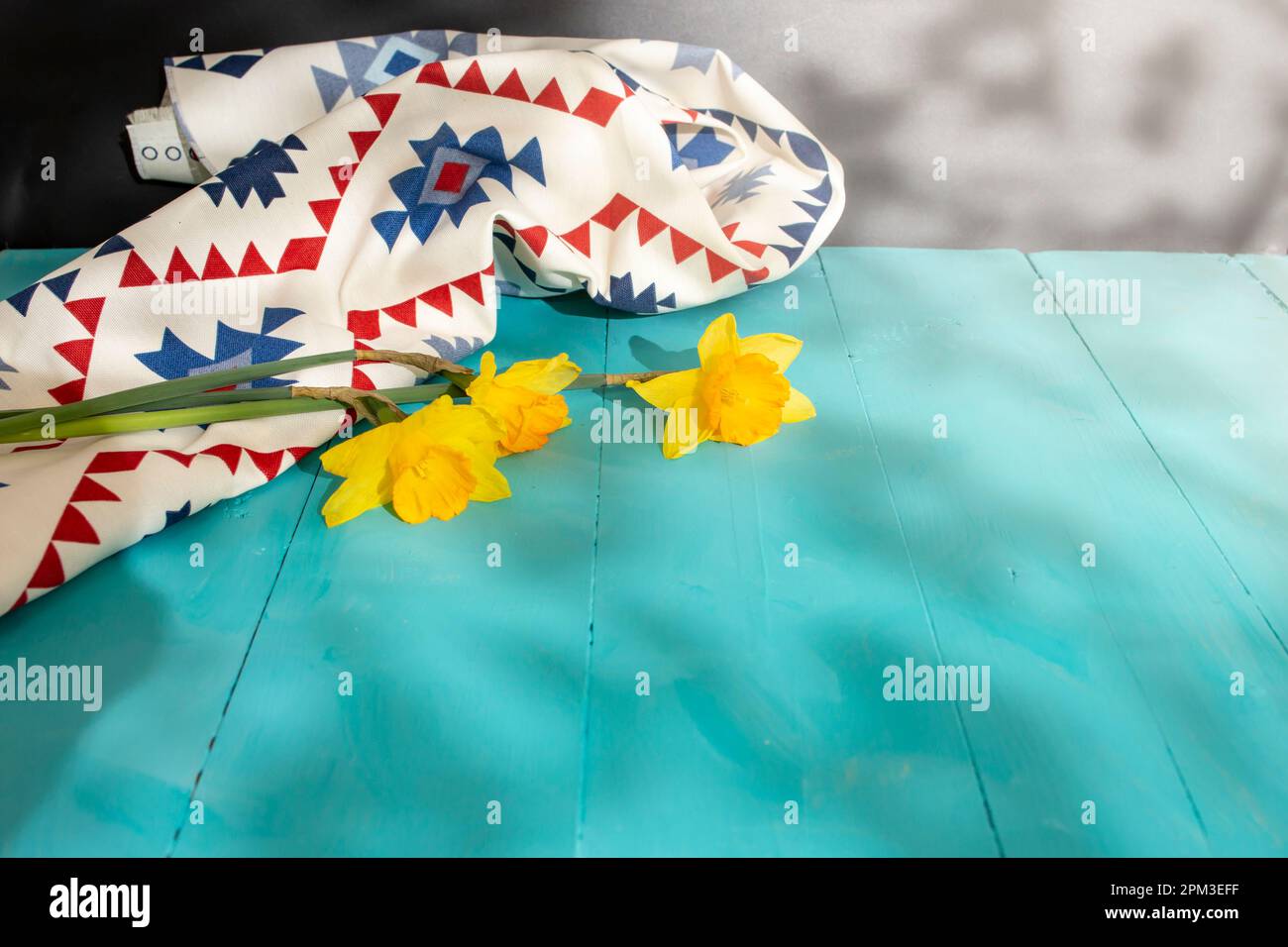 Product presentation podium with blue wood boards, narcissus flowers , a rustic cloth and drapes ...