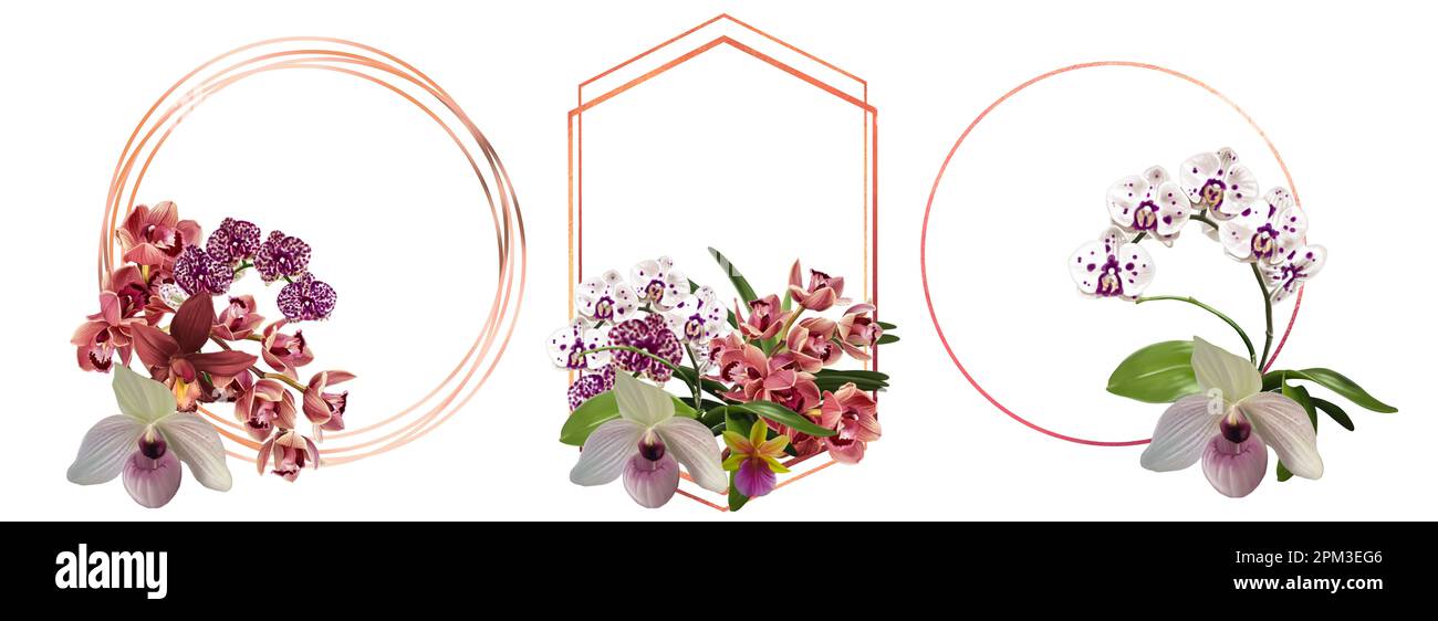 Watercolor set of frames made of orchids. frame of cymbidium ...