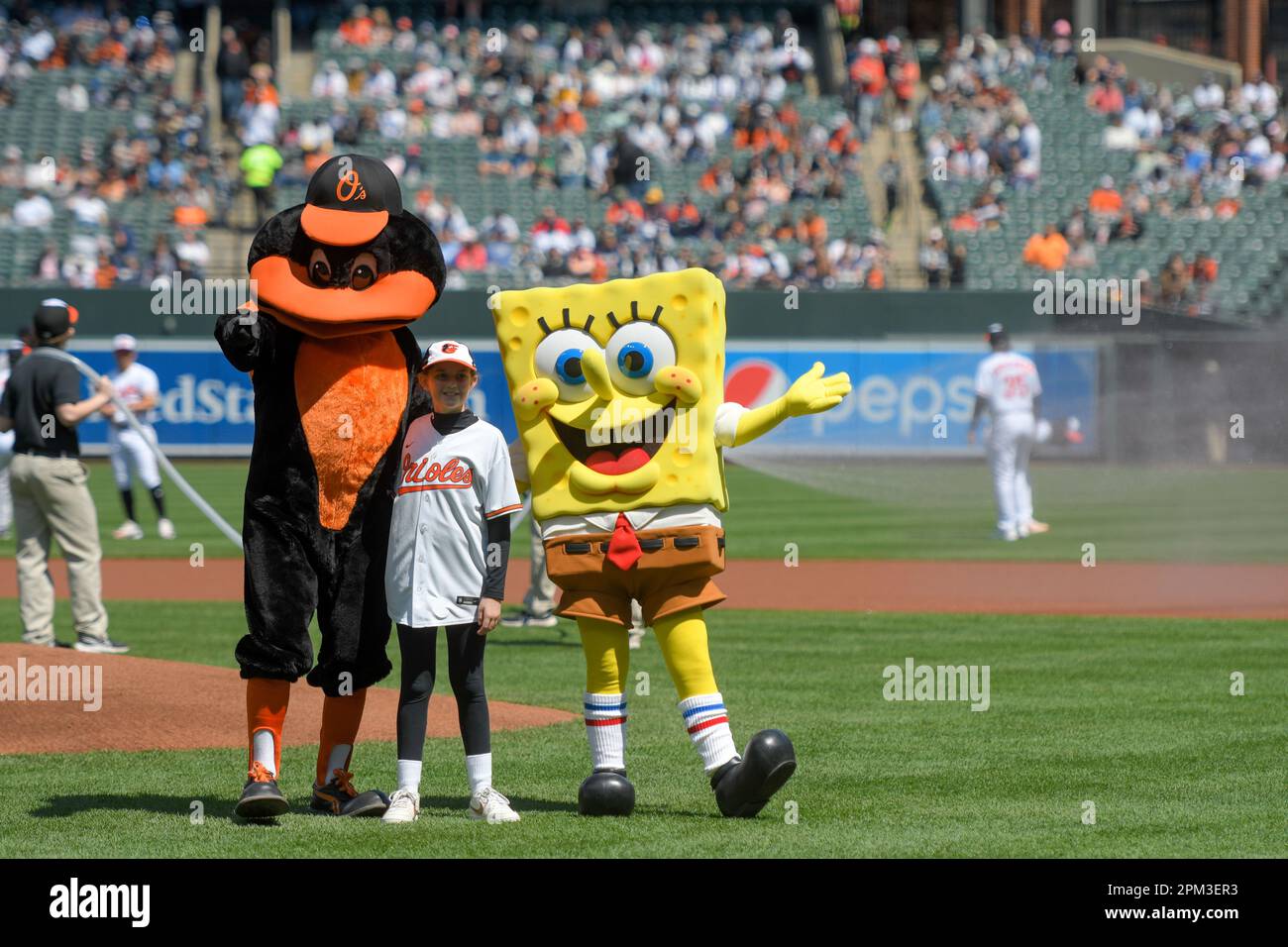 The Baltimore Orioles mascot, left, and Nickelodeon character SpongeBob ...