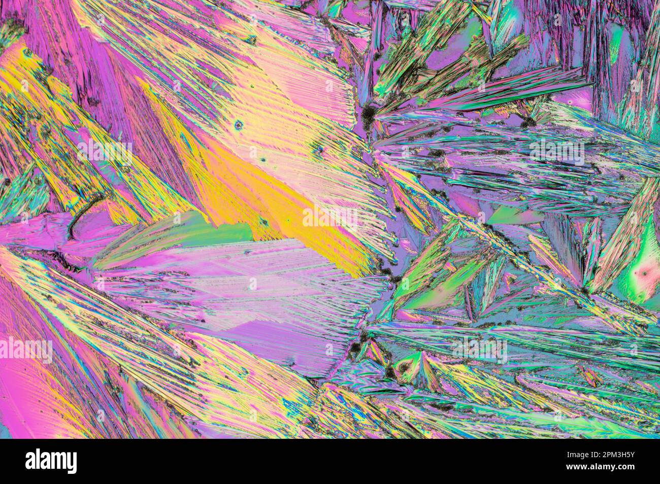 Crystal plm hi-res stock photography and images - Alamy