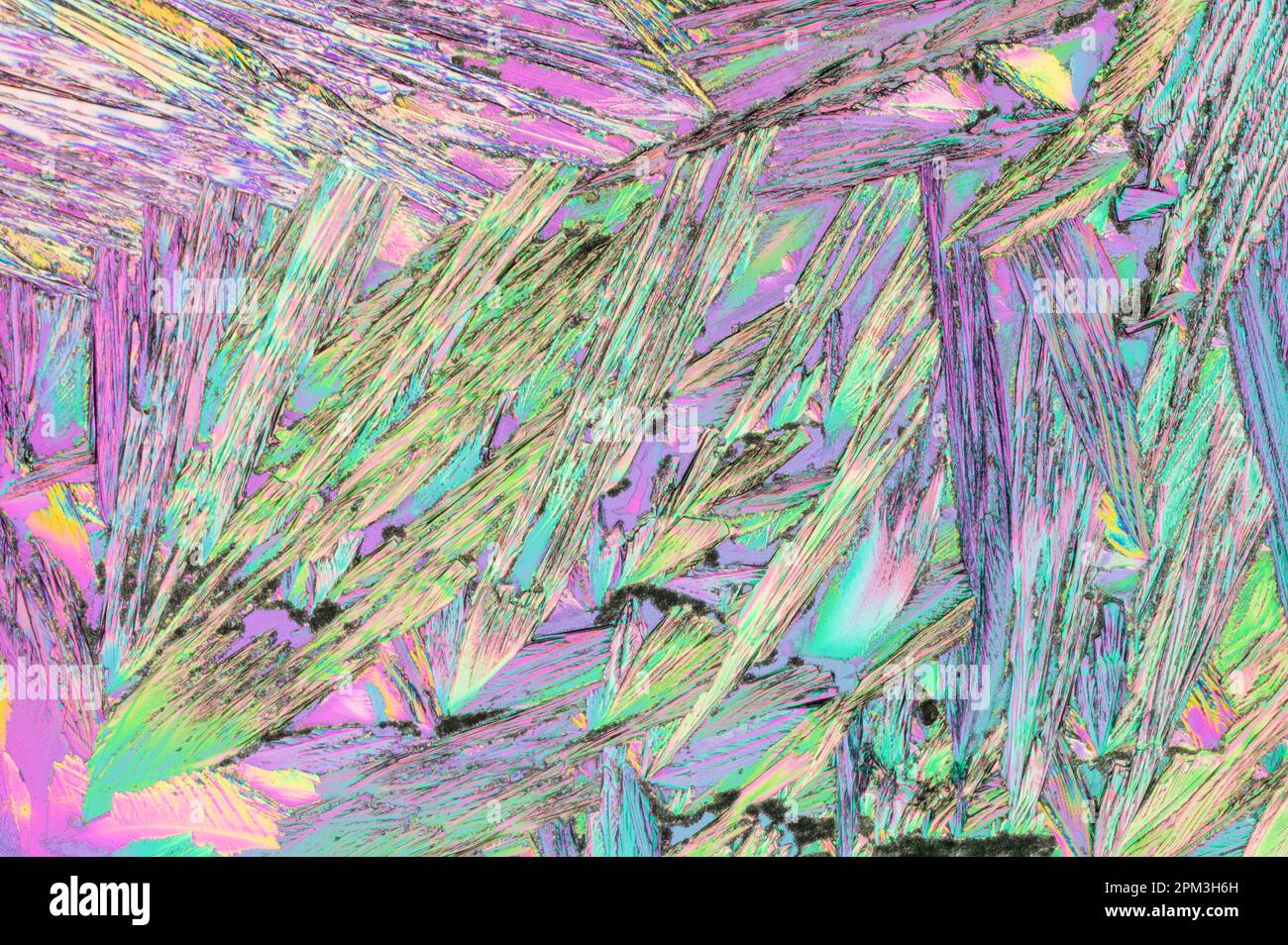 Urea crystals on a microscope slide Stock Photo - Alamy