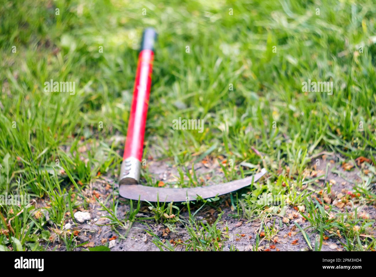 Red small scythe with green grass. Close-up sharpening scythe for using ...
