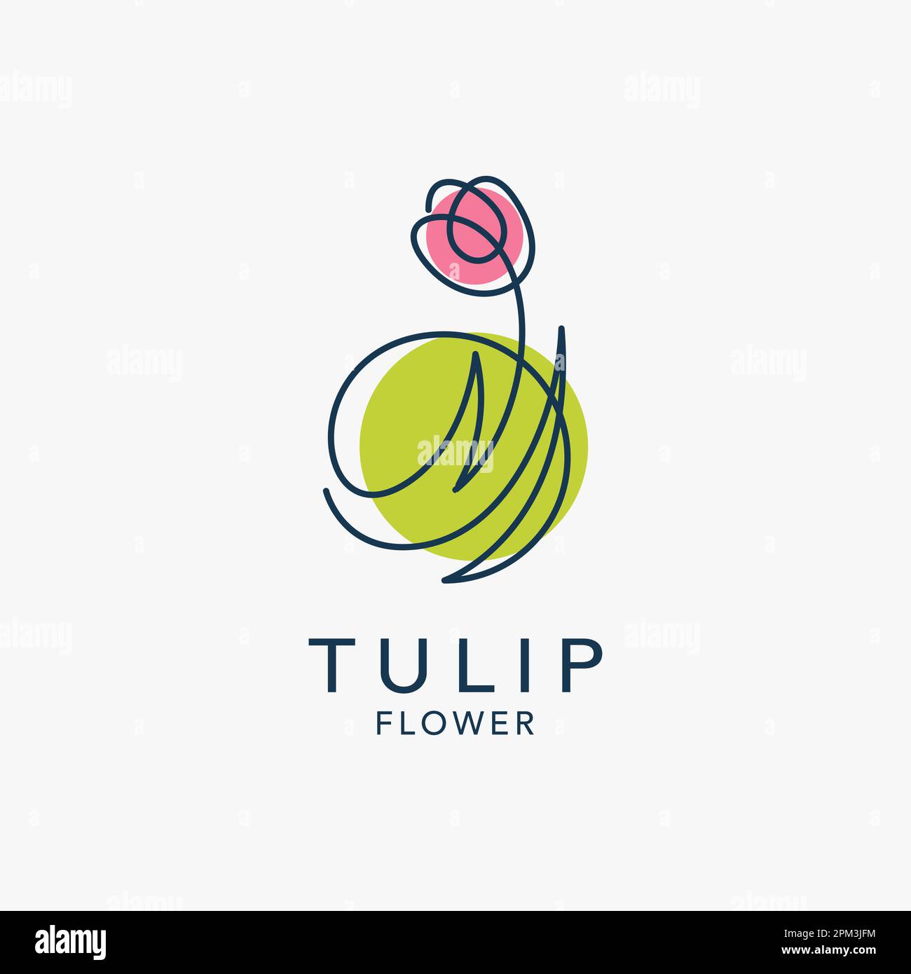 Tulip in blossom spring Stock Vector Images - Alamy