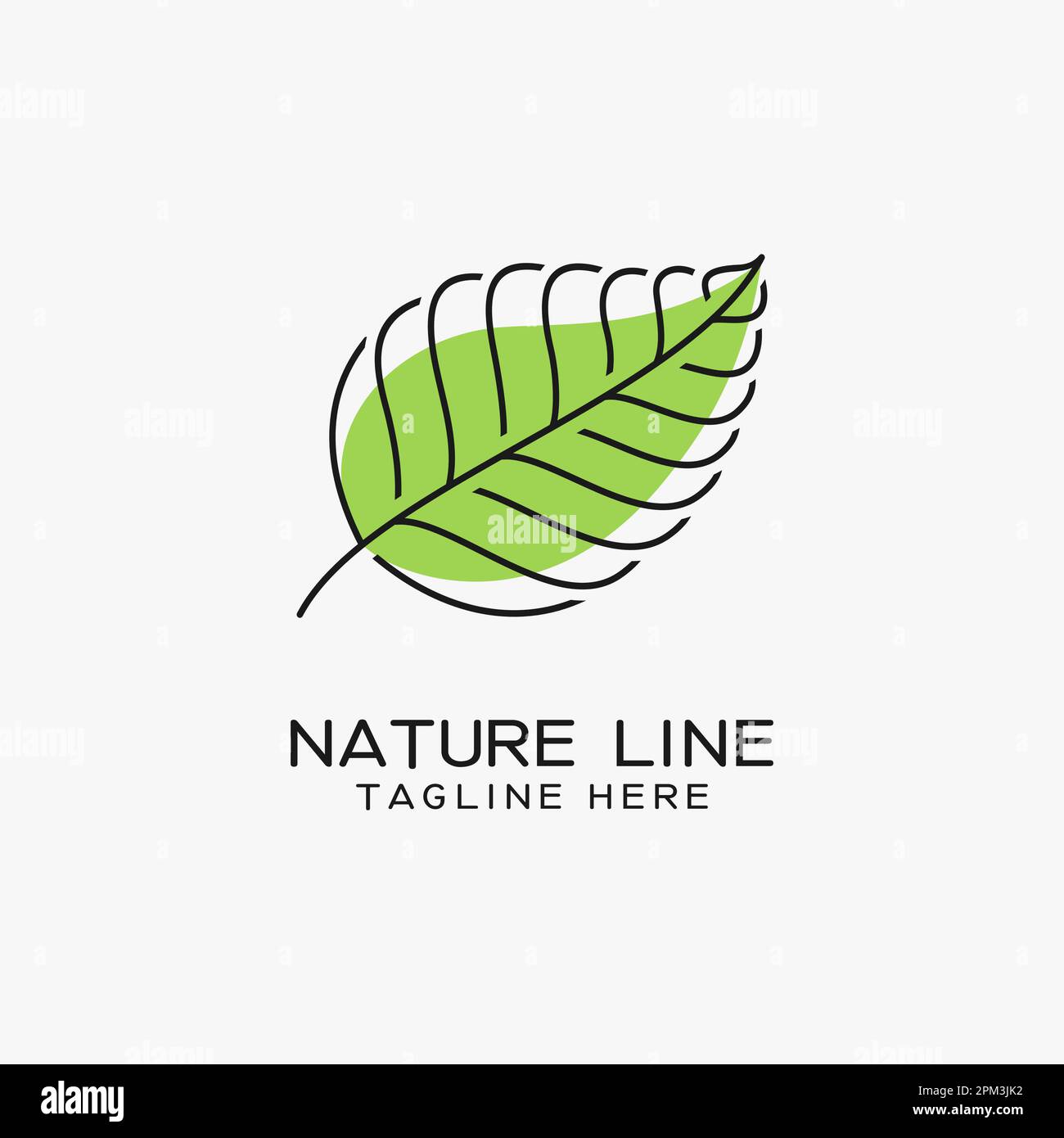 Line art leaf botanical Stock Vector Images - Alamy