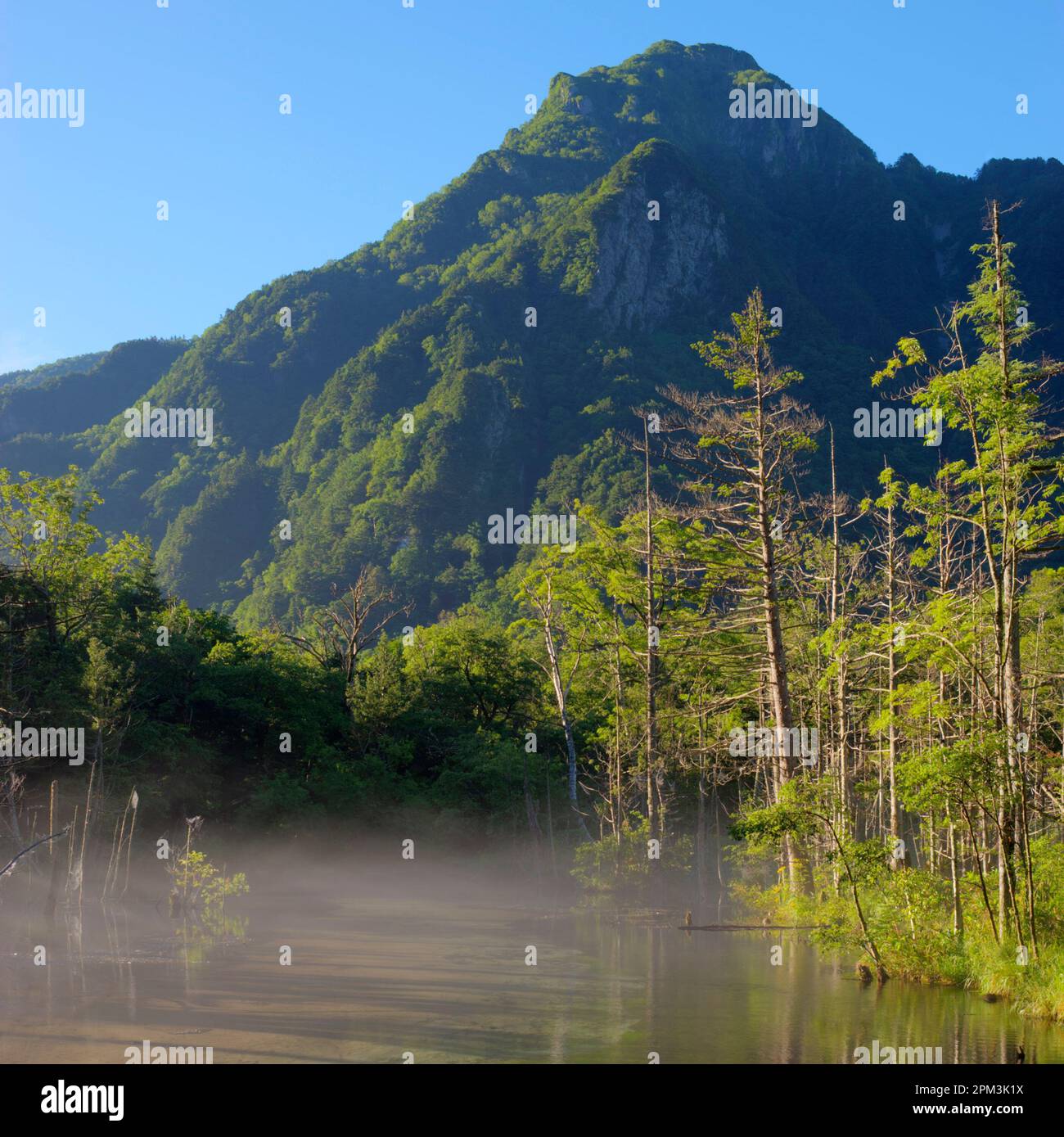 Early morning mist and reflections at Myojin Pond Kamikochi, designated ...