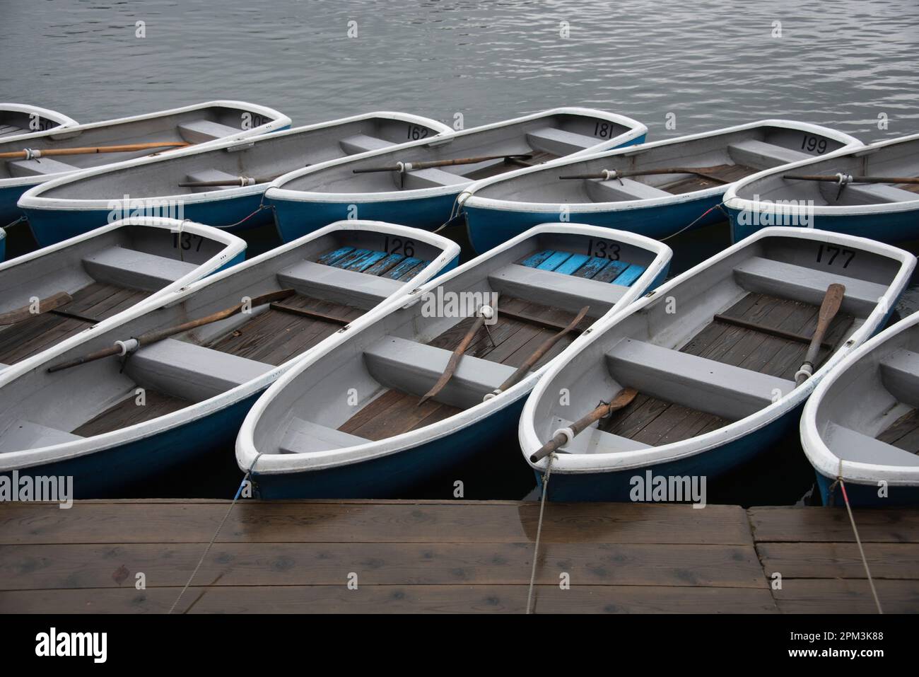 Rowing boats on the Katsura River Arashiyama, Kyoto, Japan Stock Photo - Alamy