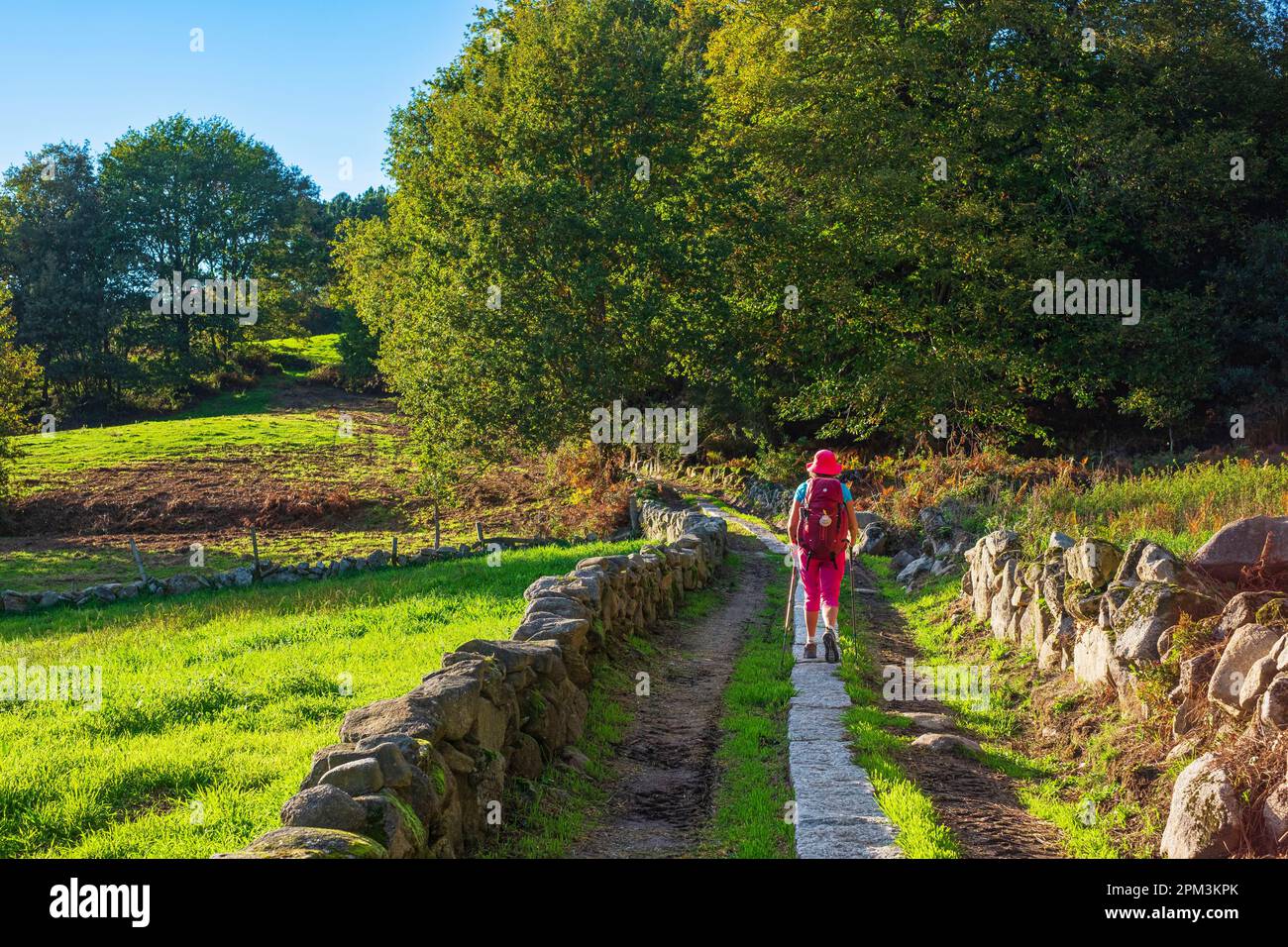 Cristovo de cea hi-res stock photography and images - Alamy