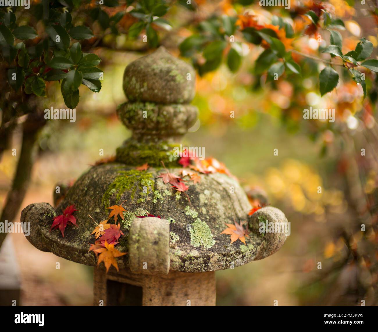 Seasons in kyoto hi-res stock photography and images - Alamy