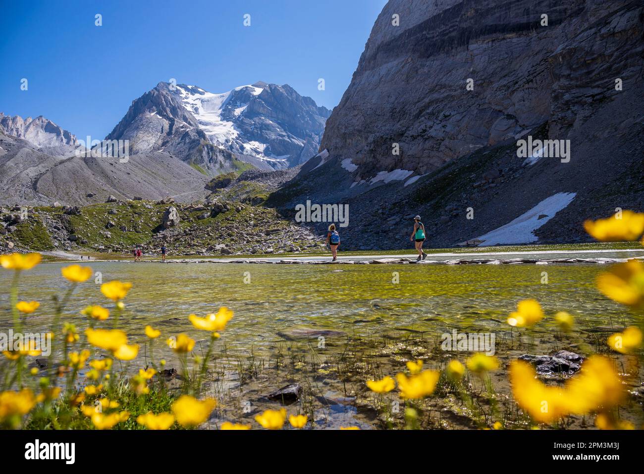 France, Savoie, Pralognan-La-Vanoise, Vanoise National Park, GR55, path ...