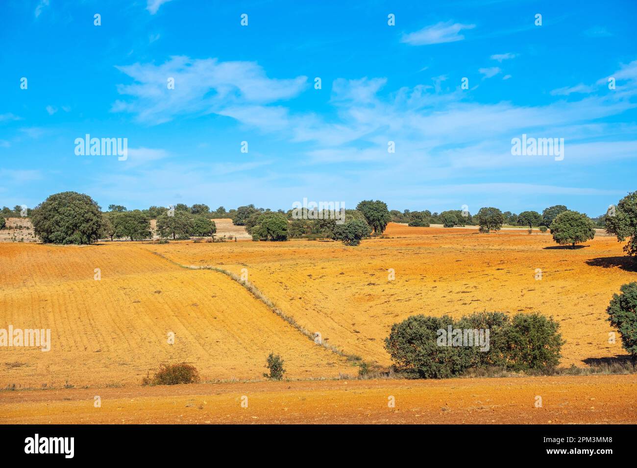 Moreruela de tabara hi-res stock photography and images - Alamy