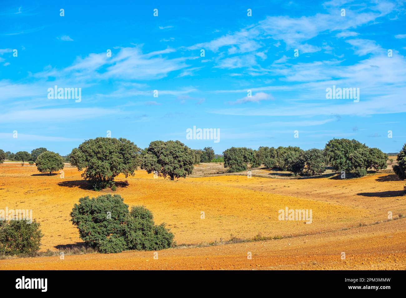 Moreruela de tabara hi-res stock photography and images - Alamy