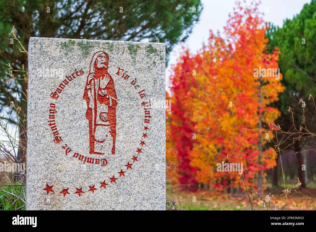 Calzadilla de tera hi-res stock photography and images - Alamy