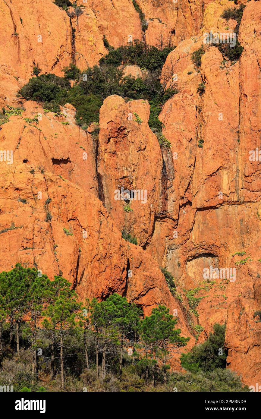 France, Var, Saint Raphael, Esterel massif, rocks Stock Photo - Alamy