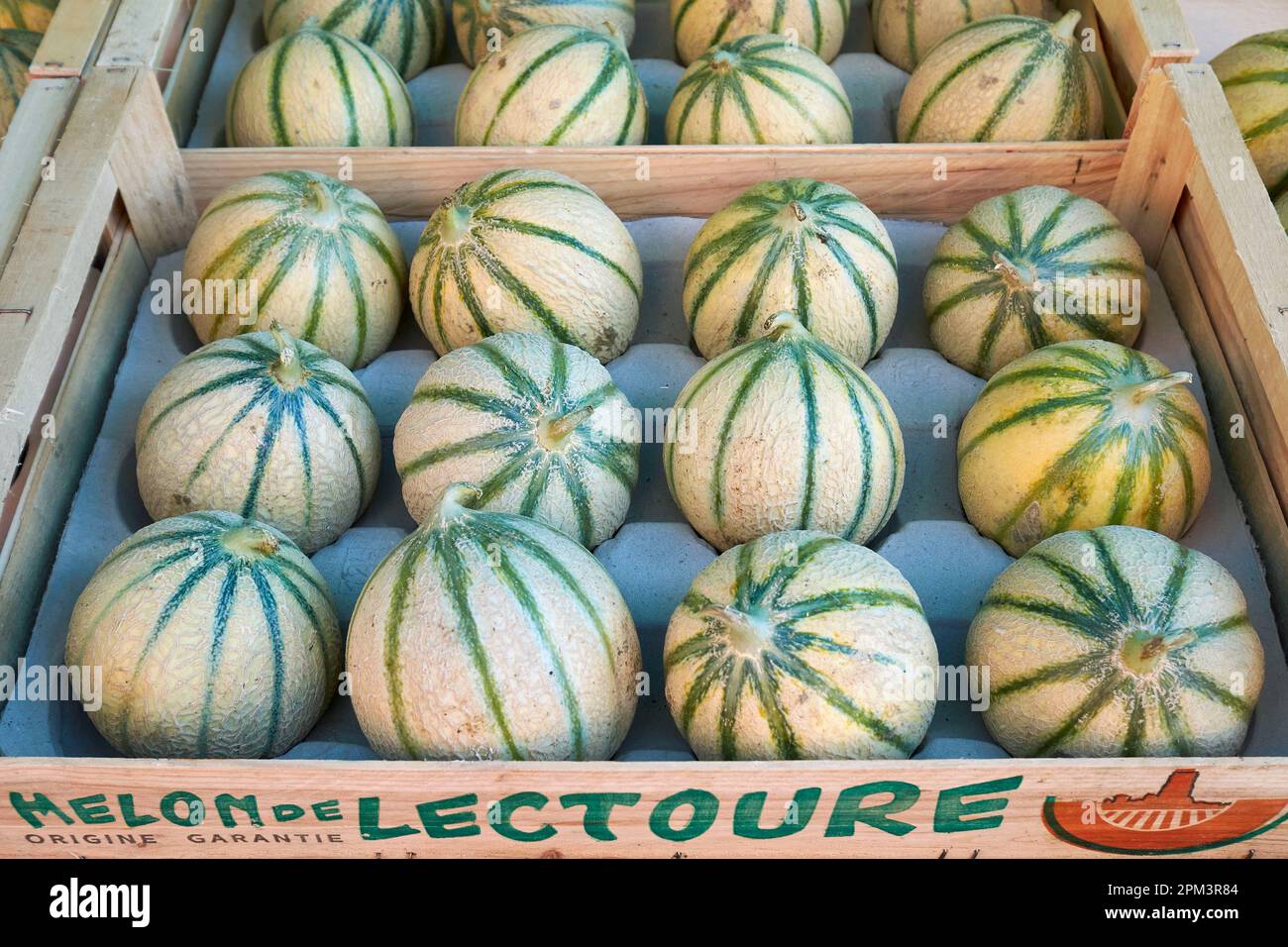 Melon types hi-res stock photography and images - Alamy