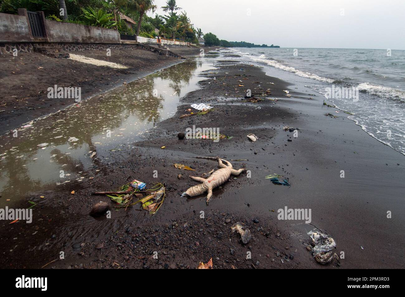 Lokapaksa, Buleleng, Bali, Indonesia. 26th Mar, 2023. Polluted beaches ...