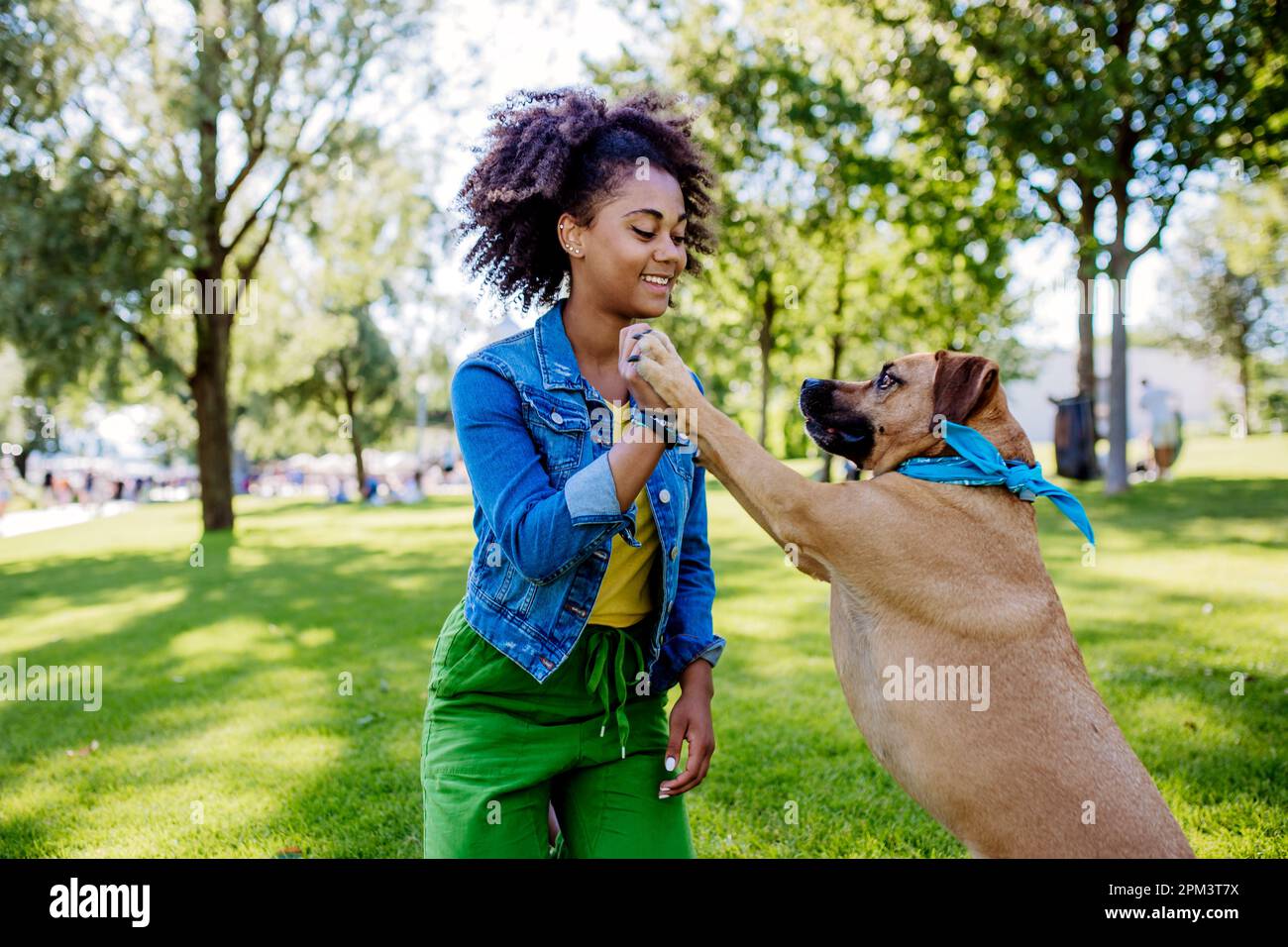Multiracial girl training her dog outdoor in a city park. Concept of ...