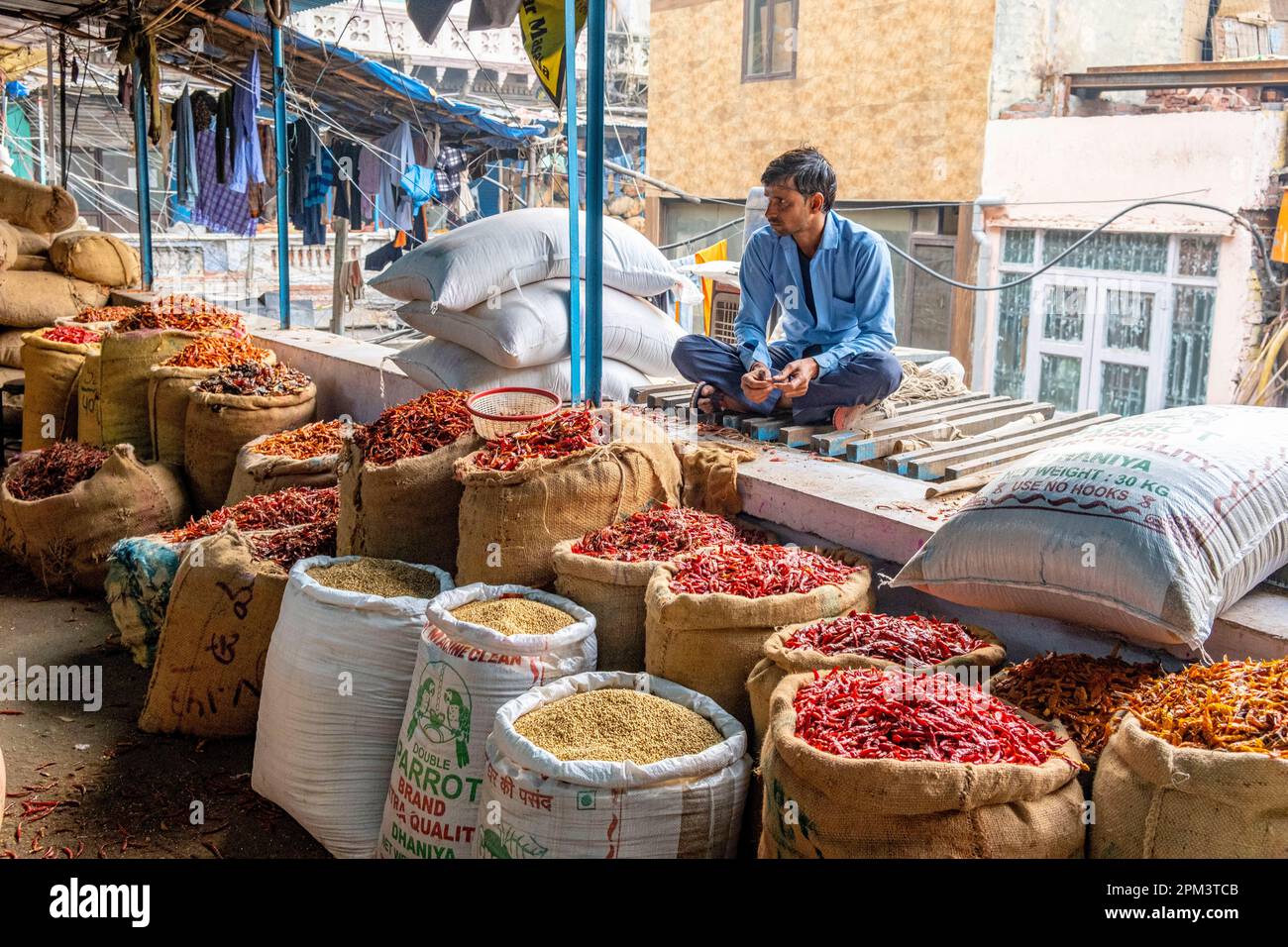 India, Delhi, Old Delhi, Chandni Chowk bazaar, spices at Kari Baoli ...