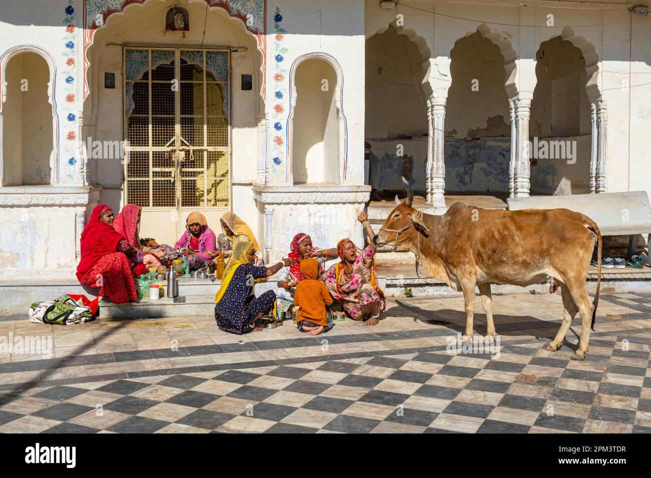 India, Rajasthan state, Pushkar, holy city for Hindus, the sacred lake ...