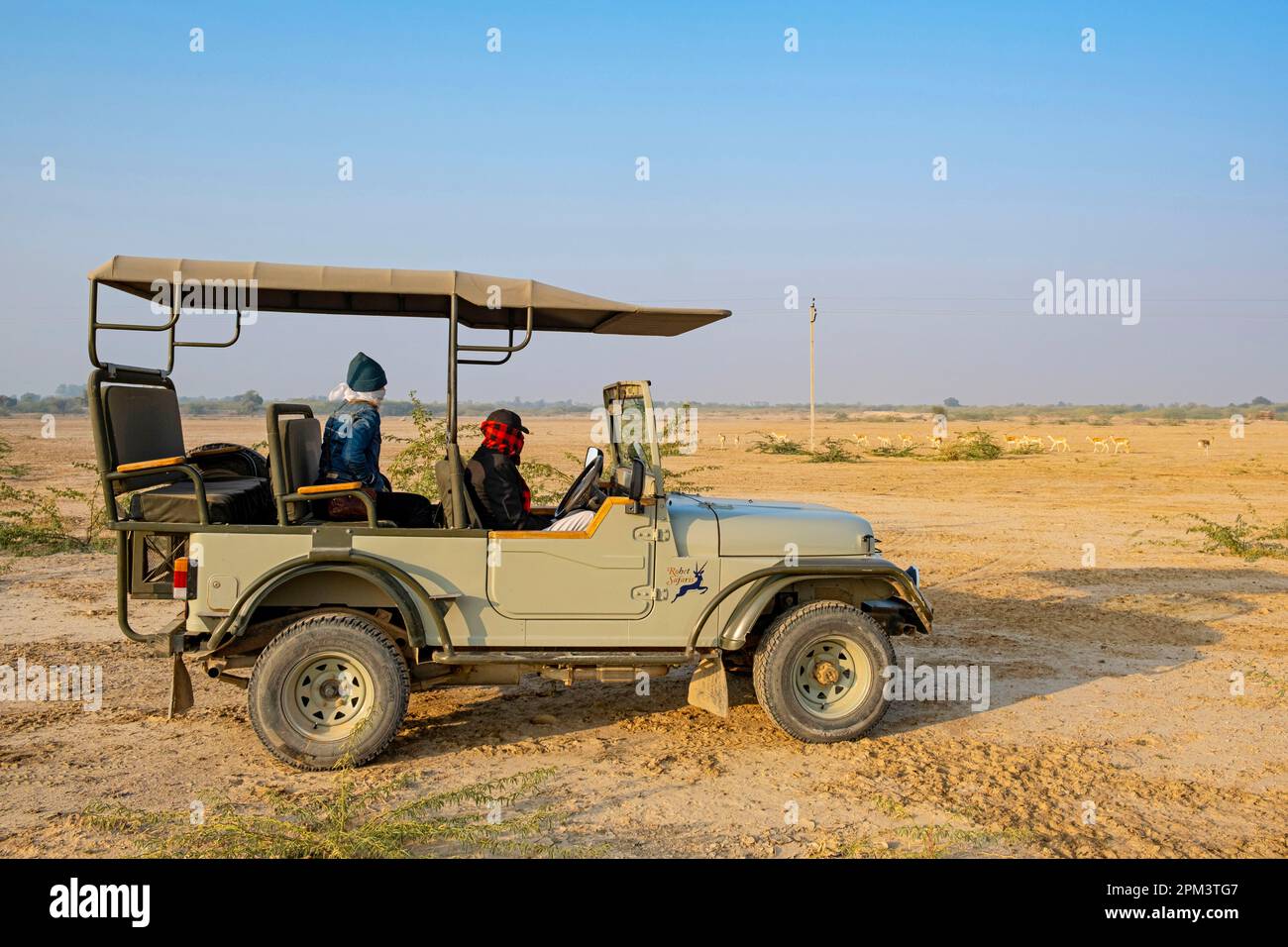 India, Rajasthan state, Rohet, excursion jeep Stock Photo - Alamy