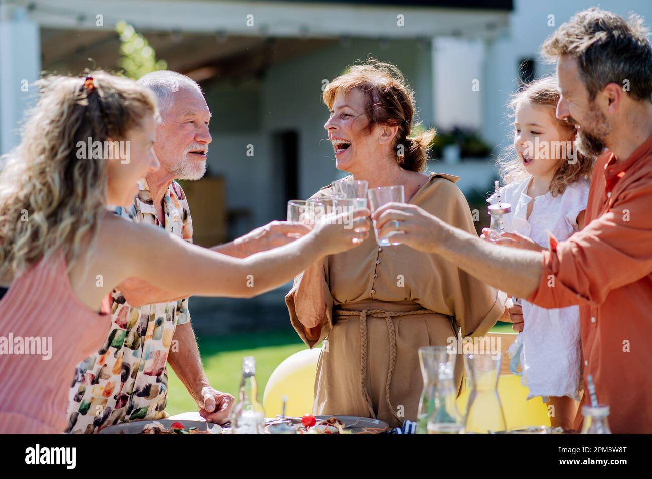 Multi generation family having garden party celebration, toasting and ...