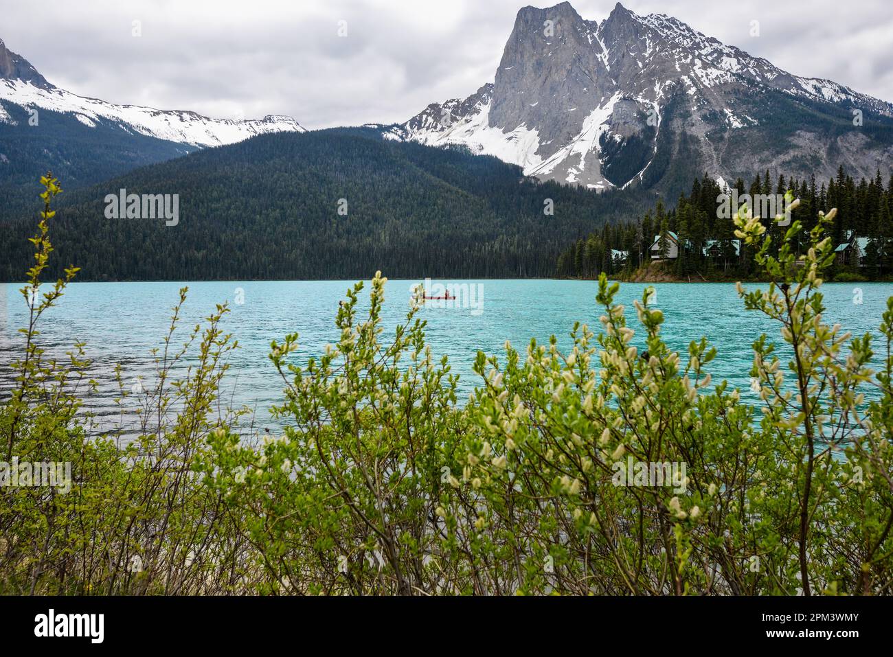 Beautiful mountains in Banf Stock Photo - Alamy
