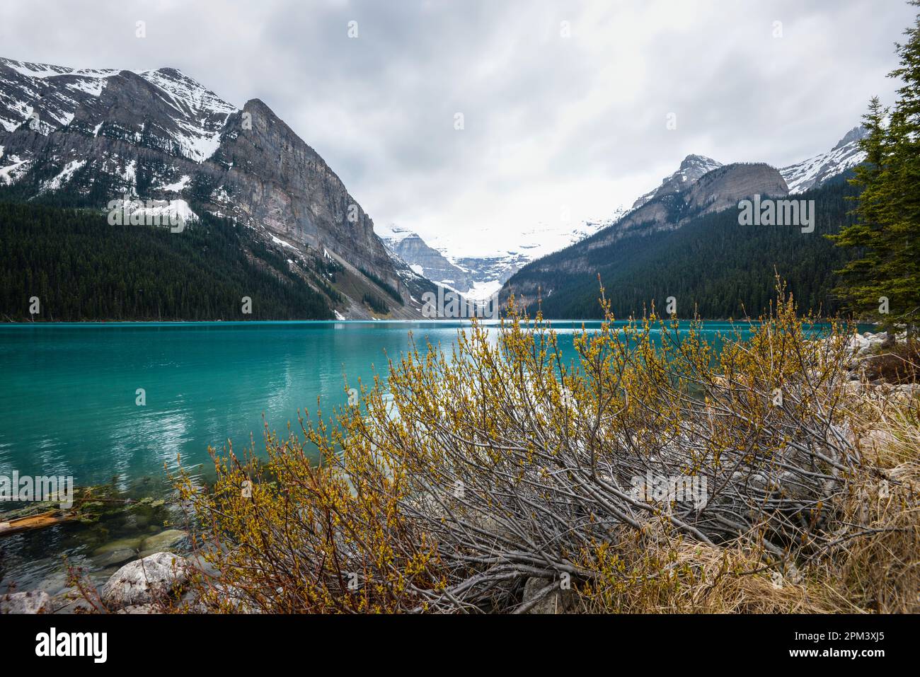 Beautiful mountains in Banf Stock Photo - Alamy