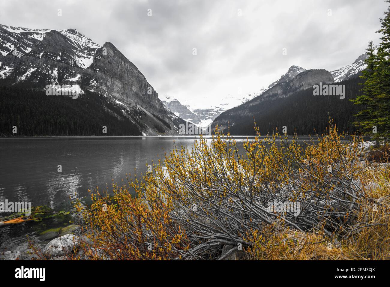 Beautiful mountains in Banf Stock Photo - Alamy